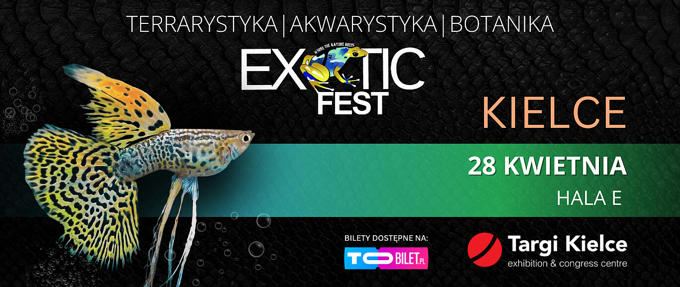Exotic Fest - Terrarystyka, akwarystyka i botanika w Kielcach ‹ Targi Kielce S.A.