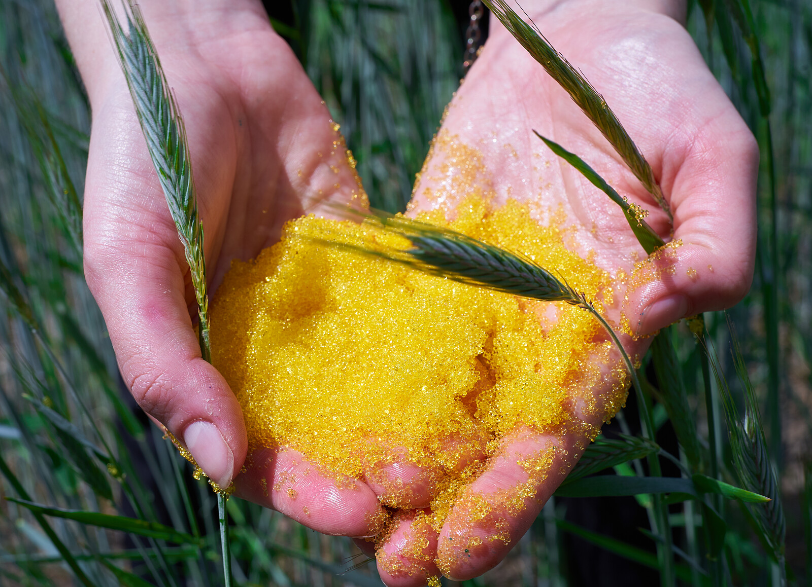 Microencapsulation alters the way cosmetics are produced. Innovation ...