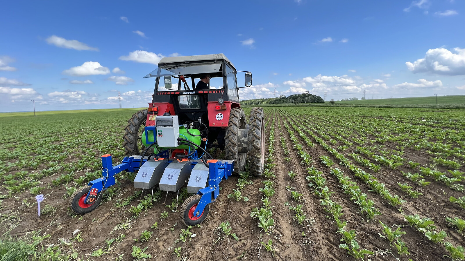 Agrotech 2024. Farmsystems premieres a weeder with artificial ...